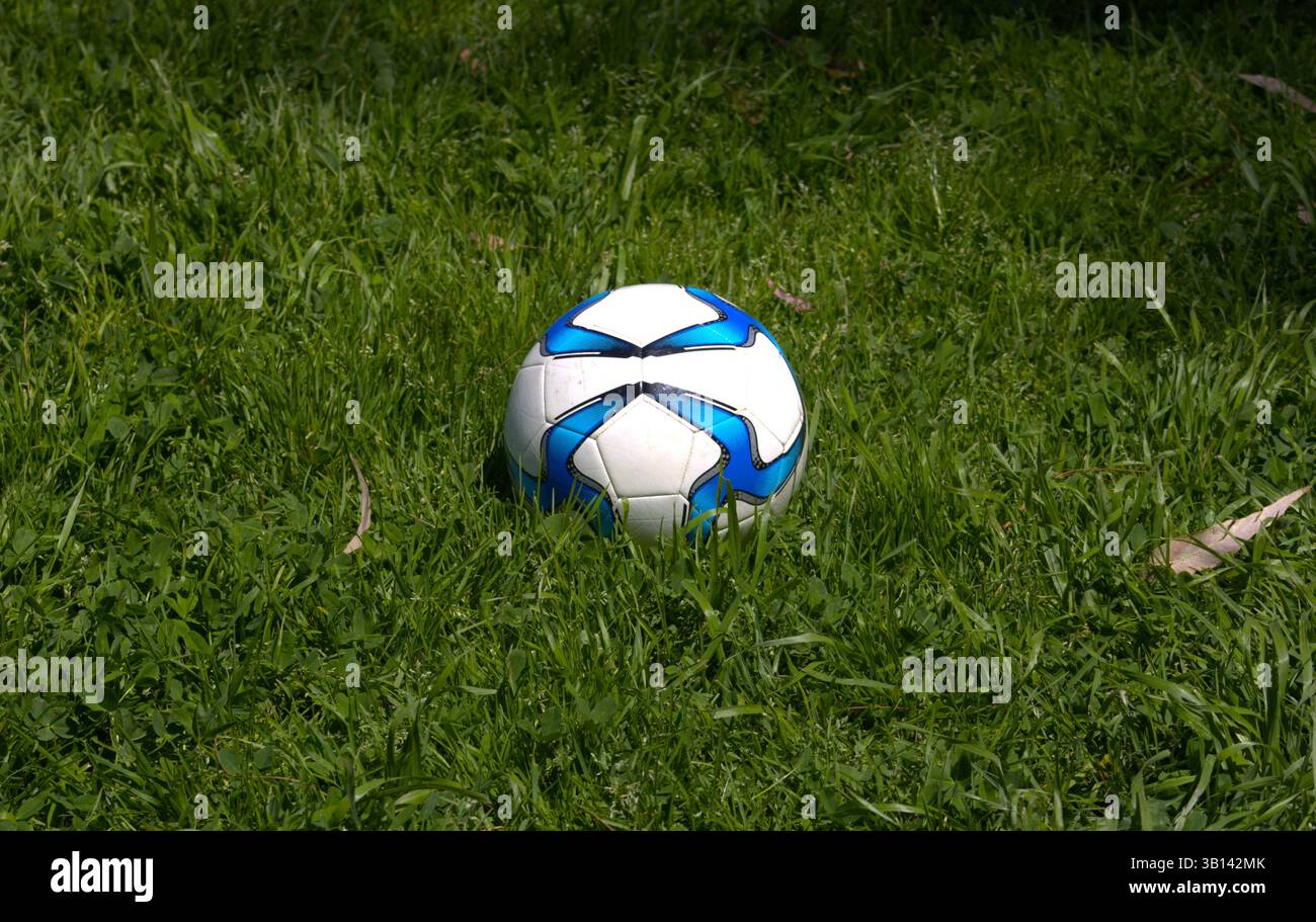 white and blue soccer ball in grass Stock Photo - Alamy