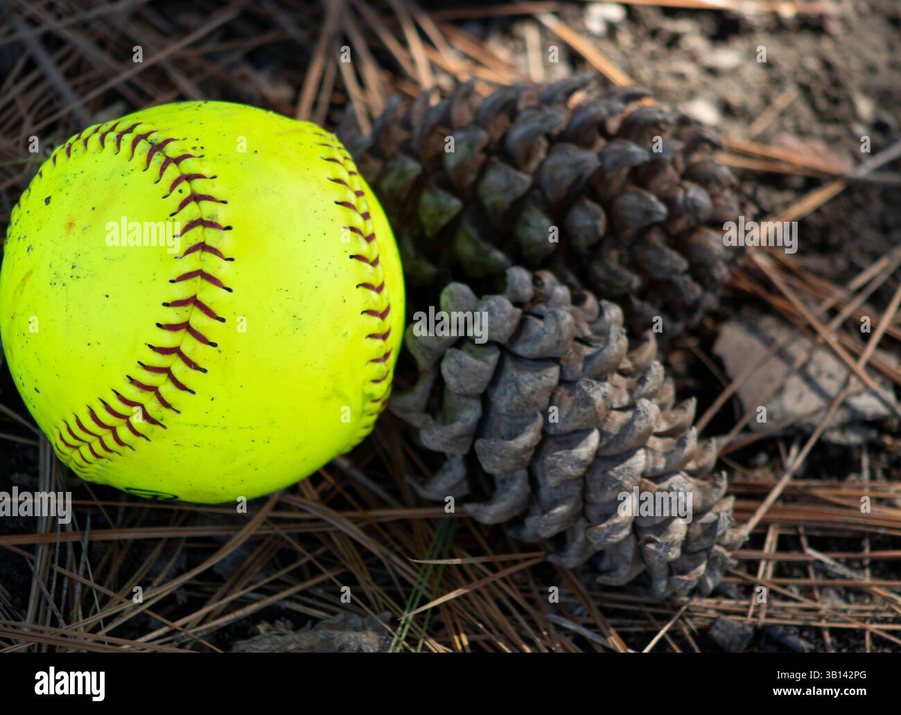 Softball equipment hi-res stock photography and images - Alamy