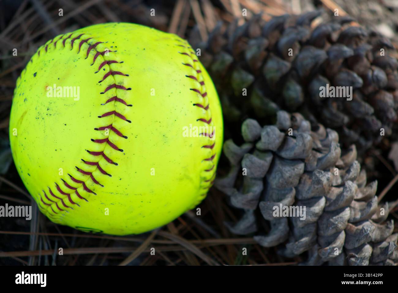 bright yellow softball in nature Stock Photo - Alamy