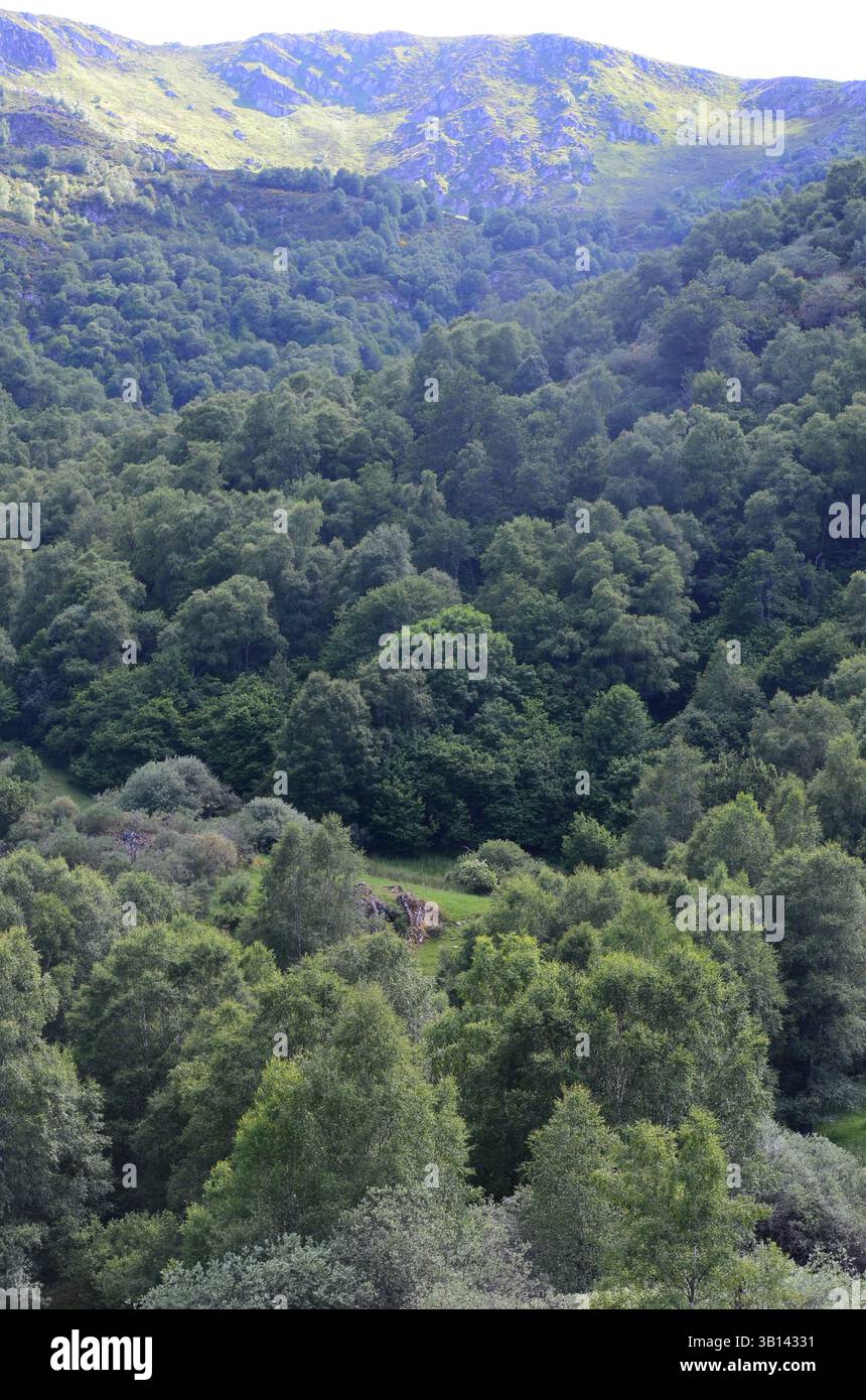 Deciduous forests in the Cantabrian Mountains range (Leon, Northern ...