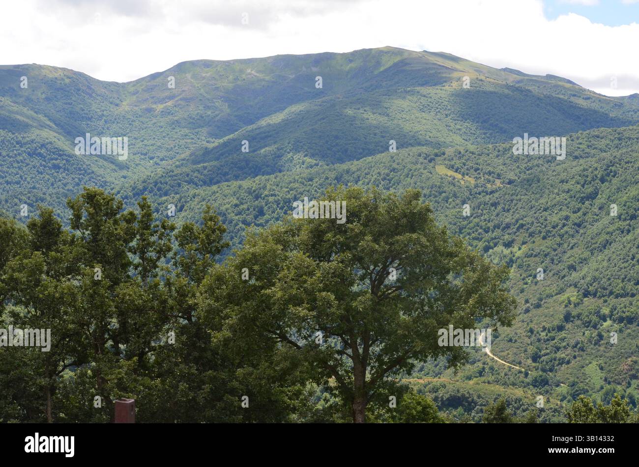 Deciduous forests in the Cantabrian Mountains range (Leon, Northern ...