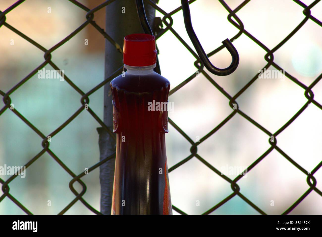 maple syrup bottle hanging on chain link fence Stock Photo - Alamy