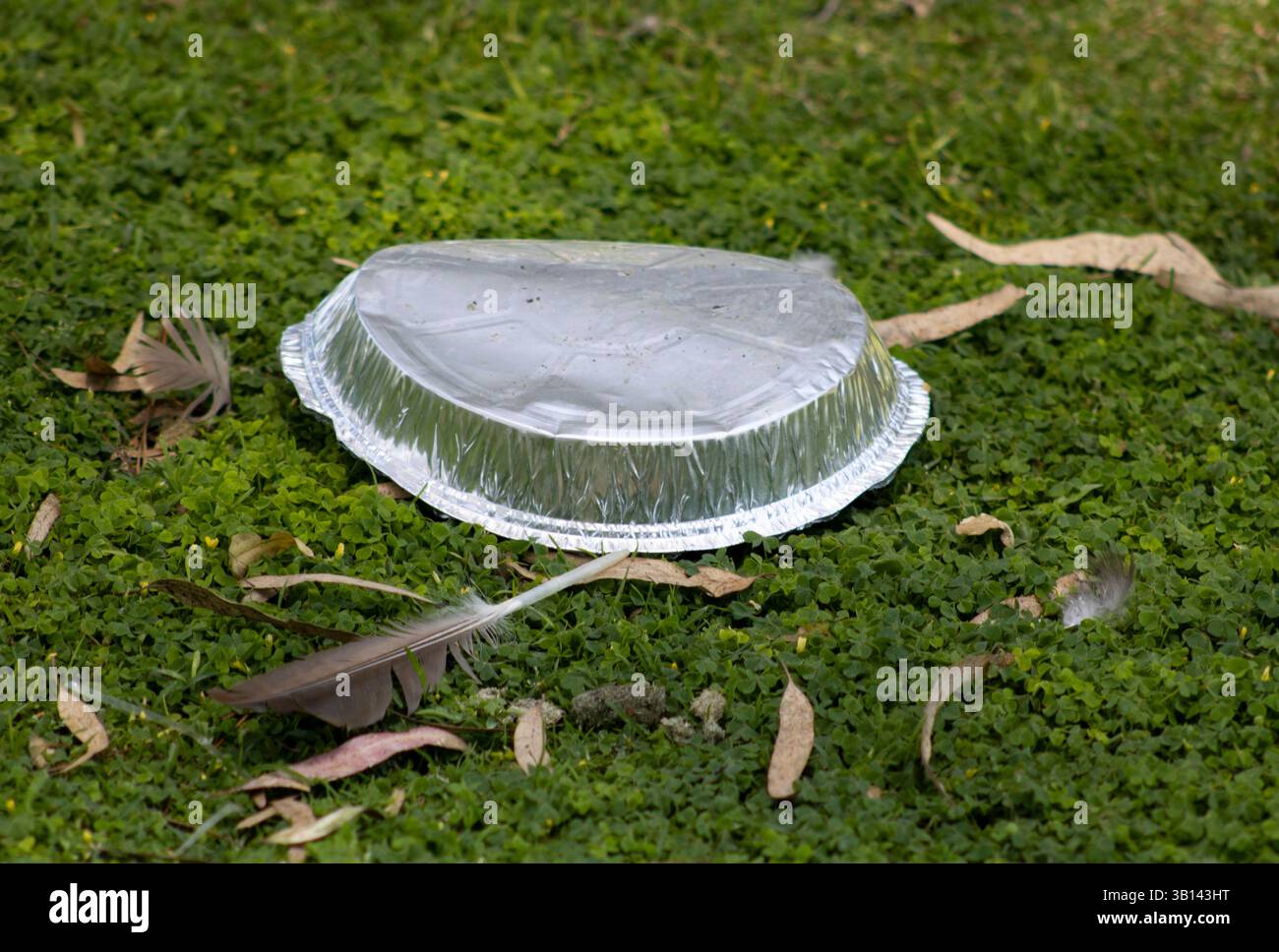 silver tin food packaging cover on ground Stock Photo - Alamy