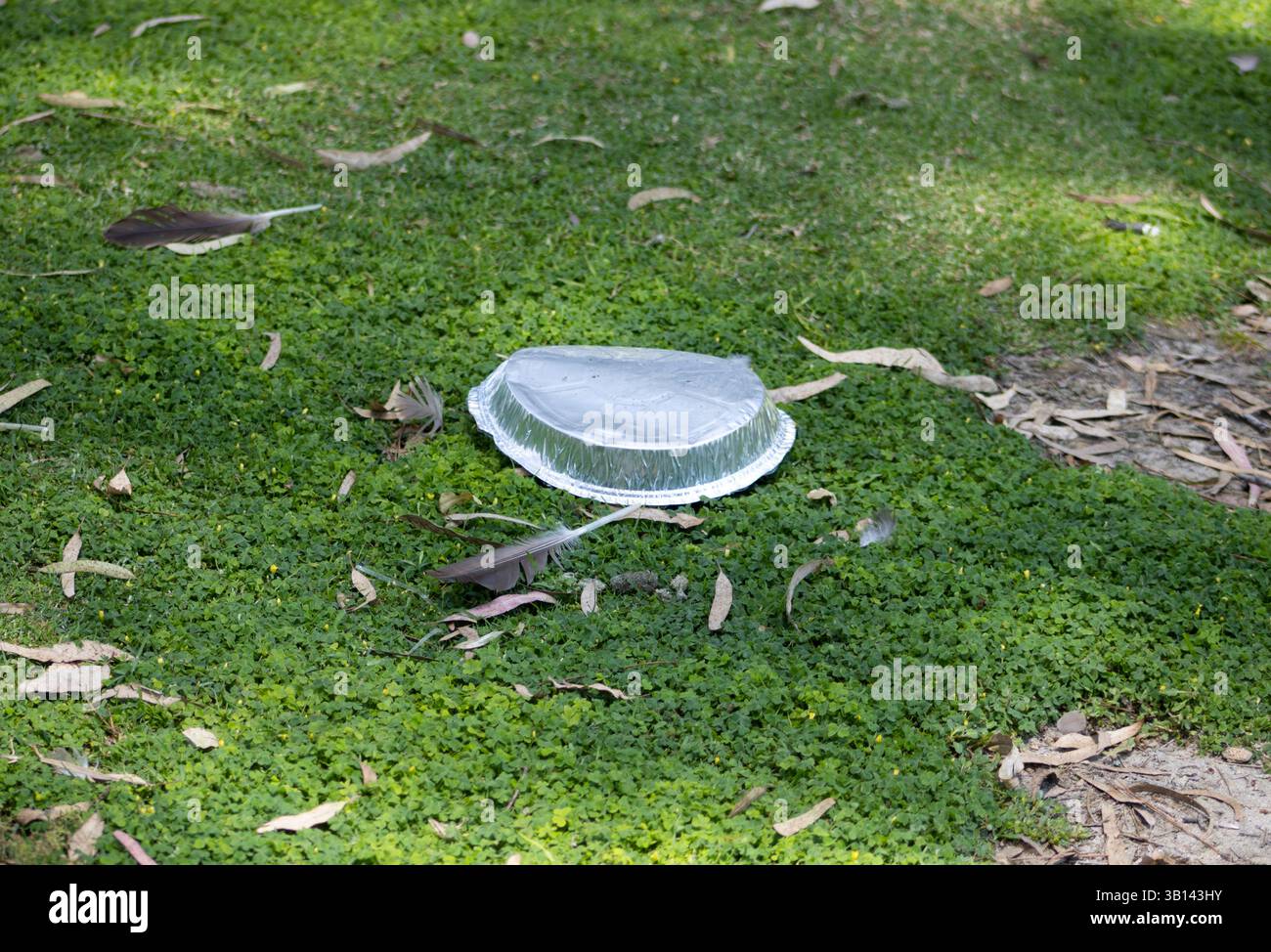 Reusable food packaging hi-res stock photography and images - Alamy