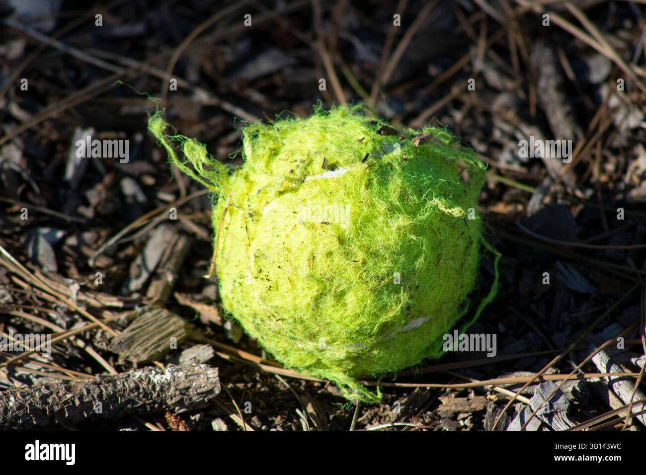 Tennis tennis fragments hi-res stock photography and images - Alamy