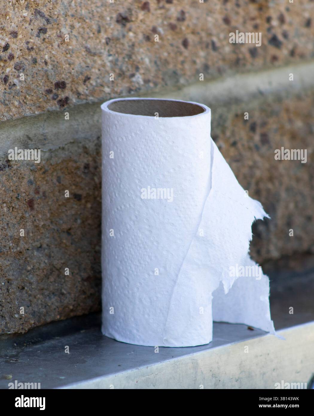 used roll of toilet paper Stock Photo - Alamy