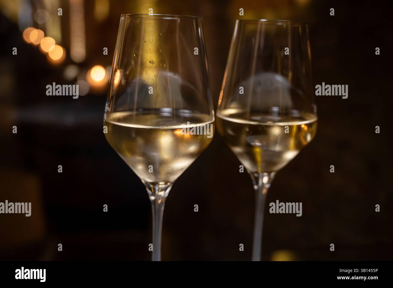 Visit of wine cellar, tasting of brut champagne sparkling wine produced by traditional method in ...