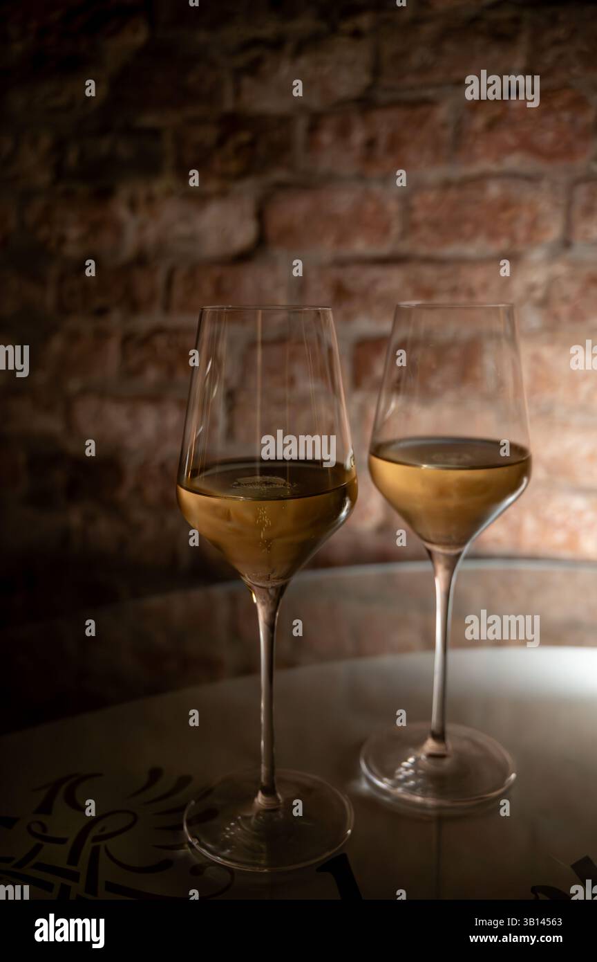 Visit of wine cellar, tasting of brut champagne sparkling wine produced by traditional method in ...