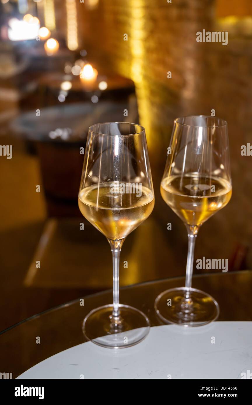 Visit of wine cellar, tasting of brut champagne sparkling wine produced by traditional method in ...