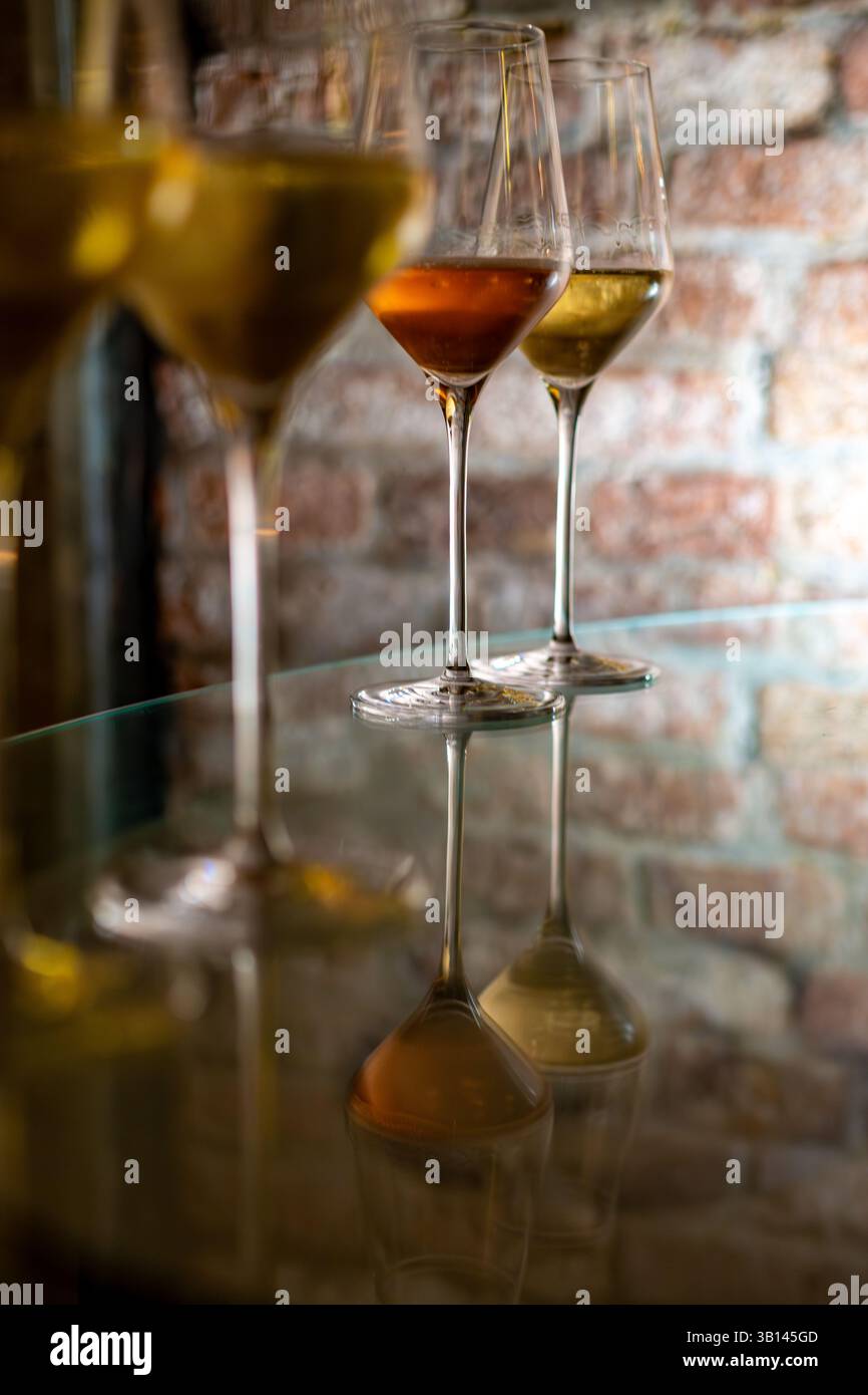 Visit of wine cellar, tasting of brut champagne sparkling wine produced by traditional method in ...