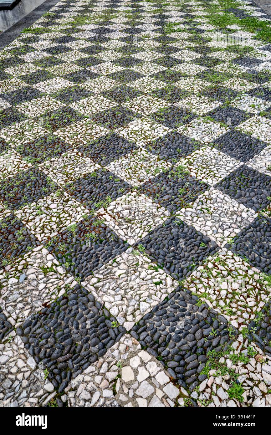 Geometric Cobblestone Pavement with Emerging Greenery: Unique Urban ...