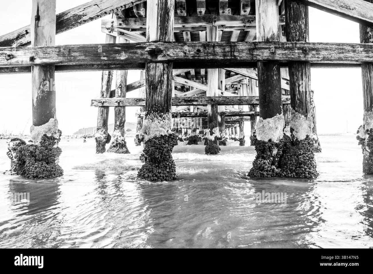 Large ocean pier Black and White Stock Photos & Images - Alamy