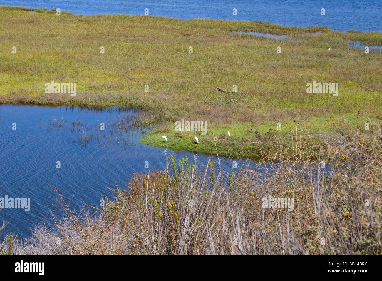 Peaceful coastal landscape clear hi-res stock photography and images ...