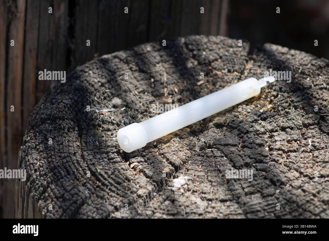 Plastic waste in forest hi-res stock photography and images - Alamy