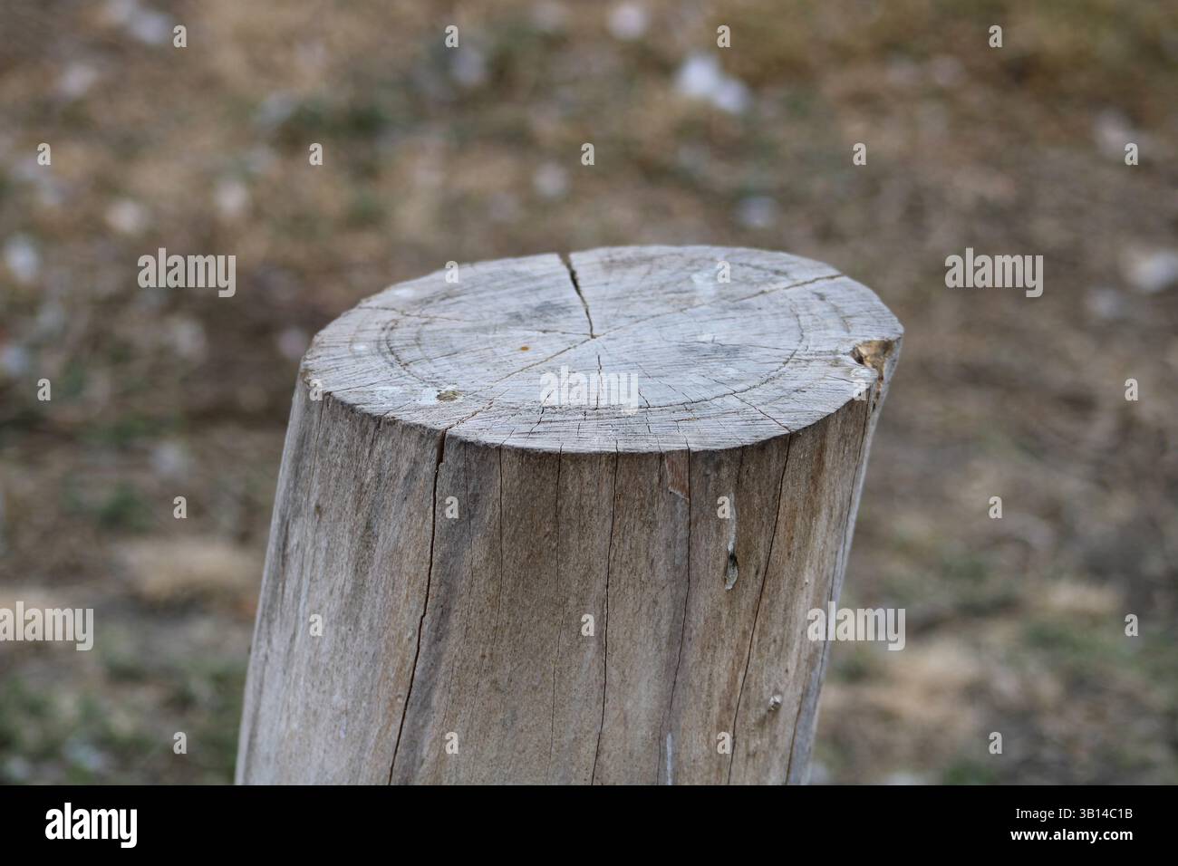 top of wood fence post Stock Photo - Alamy