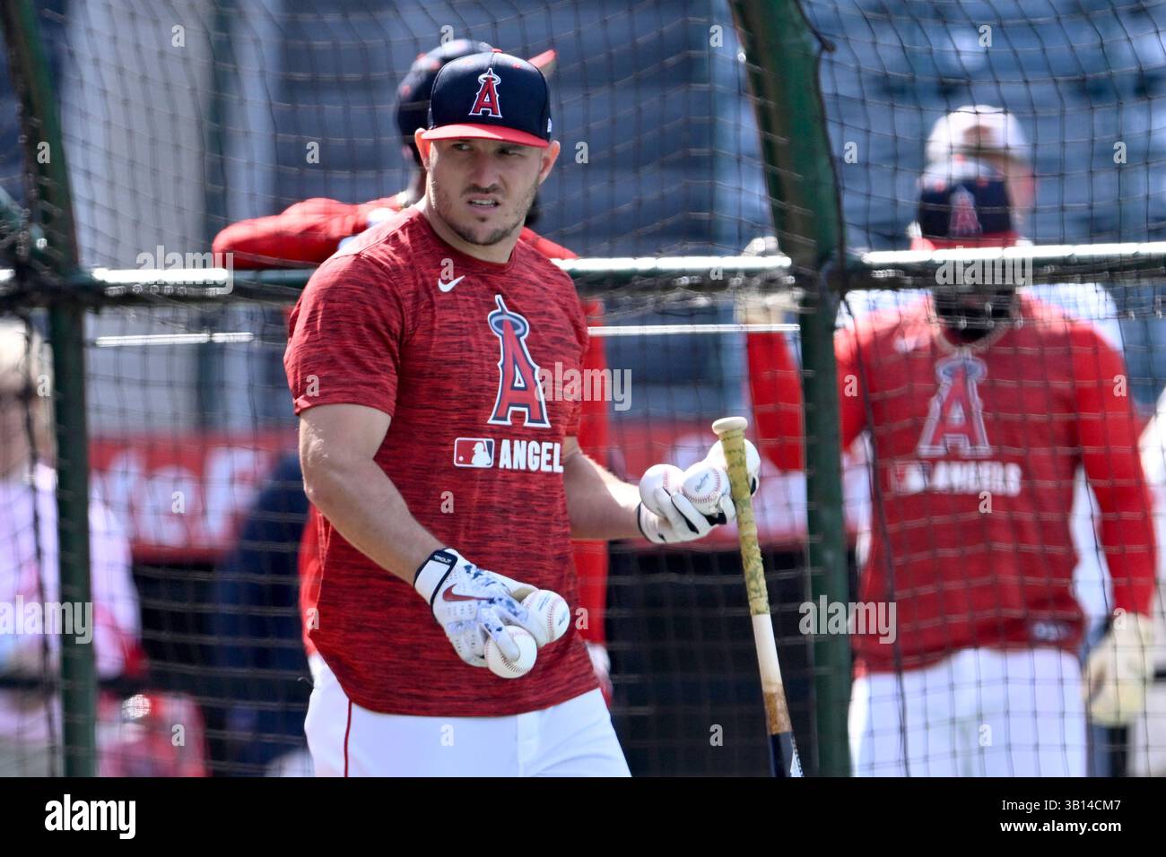 Los Angeles Angels' Mike Trout walks out of the batting cage during ...