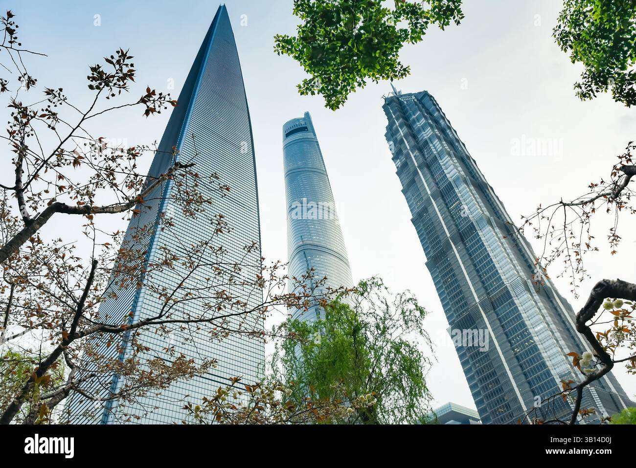 Shanghai, China - 1 April 2025: Low-angle view of Shanghai Tower, World ...