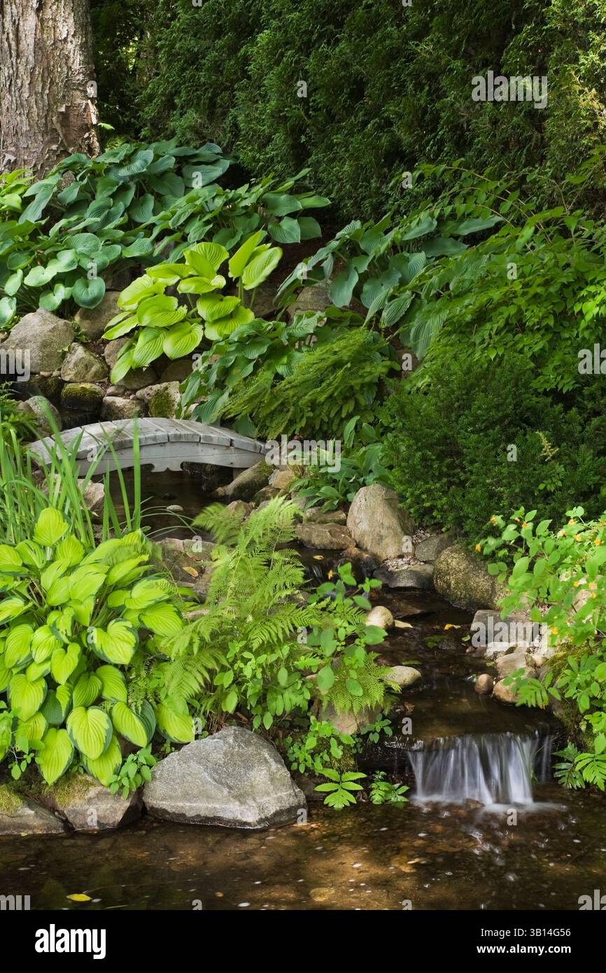 Grey wooden footbridge over man made creek with cascading waterfall ...