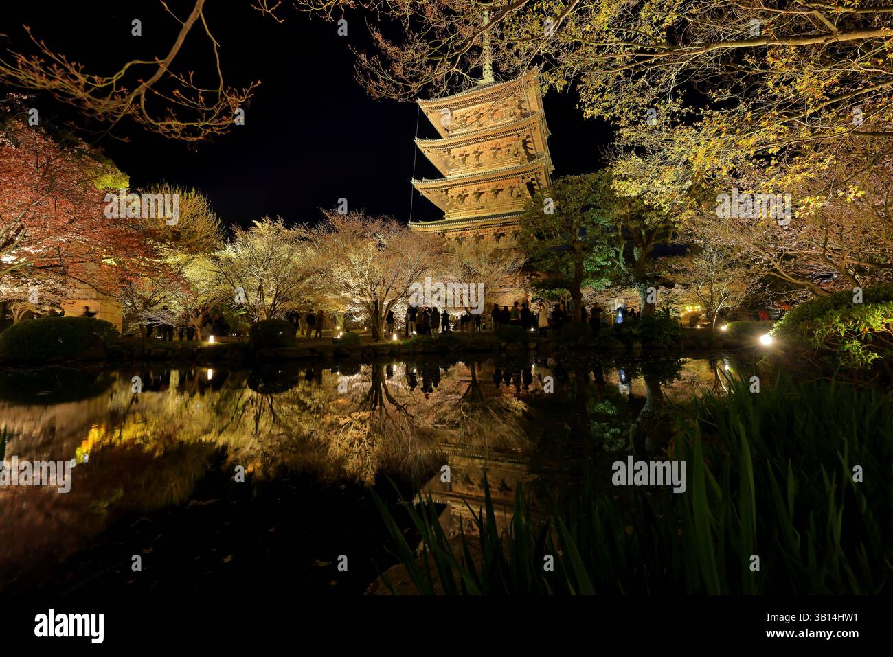 Toji Temple with cherry blossoms, a Historic Buddhist temple with a 5 ...