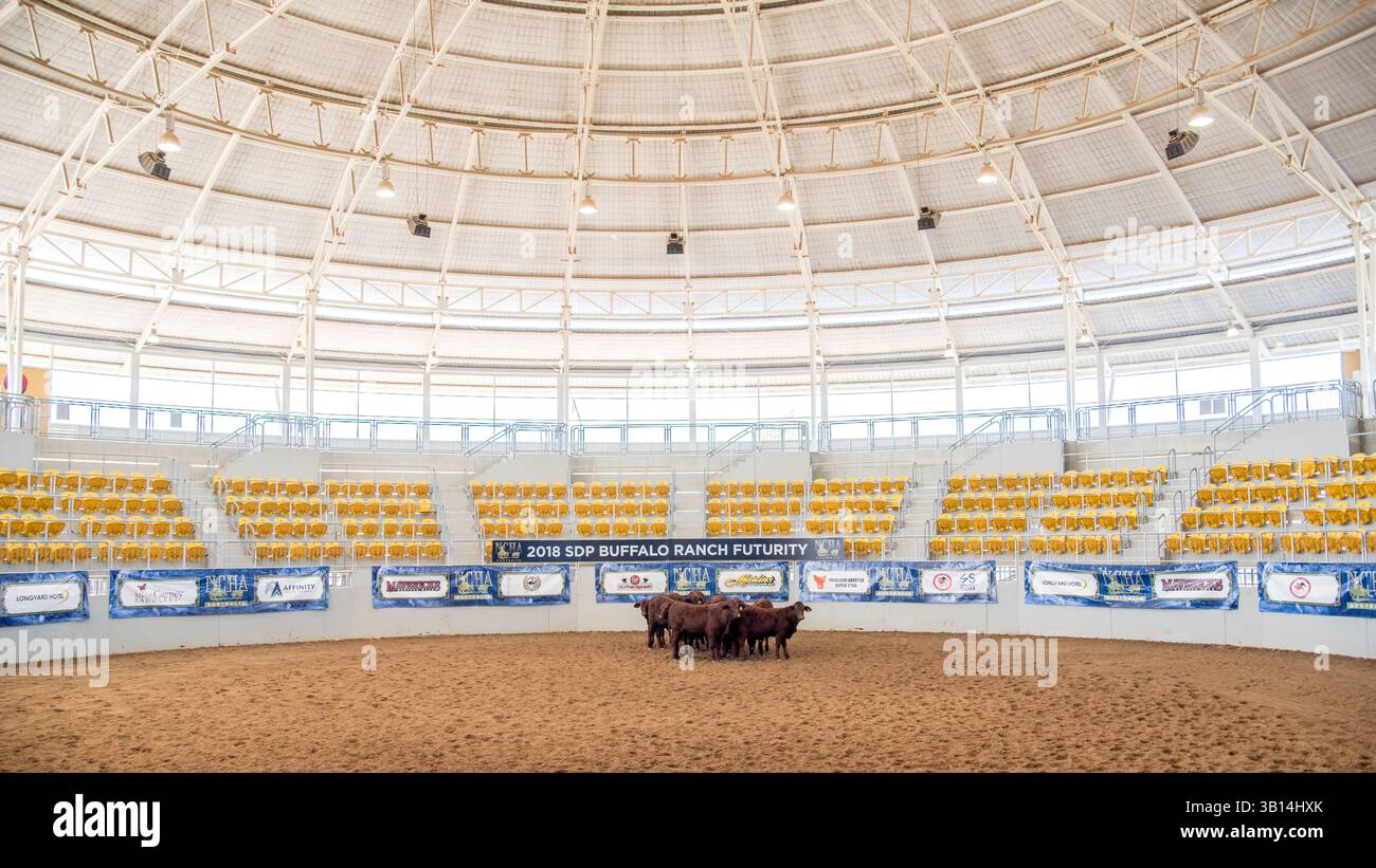 interior of AELEC arena Stock Photo - Alamy