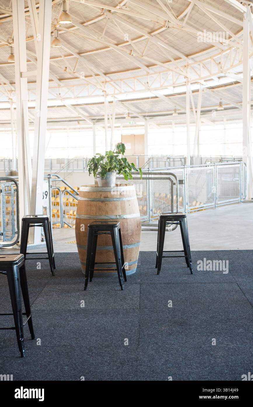interior of AELEC arena Stock Photo - Alamy