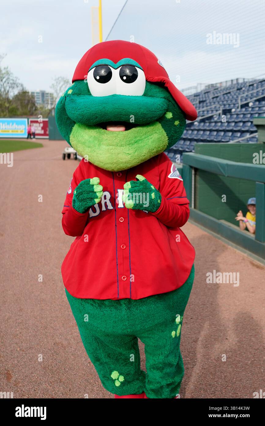 Mascot Reedy Rip'It of the Greenville Drive poses for a photo before a ...