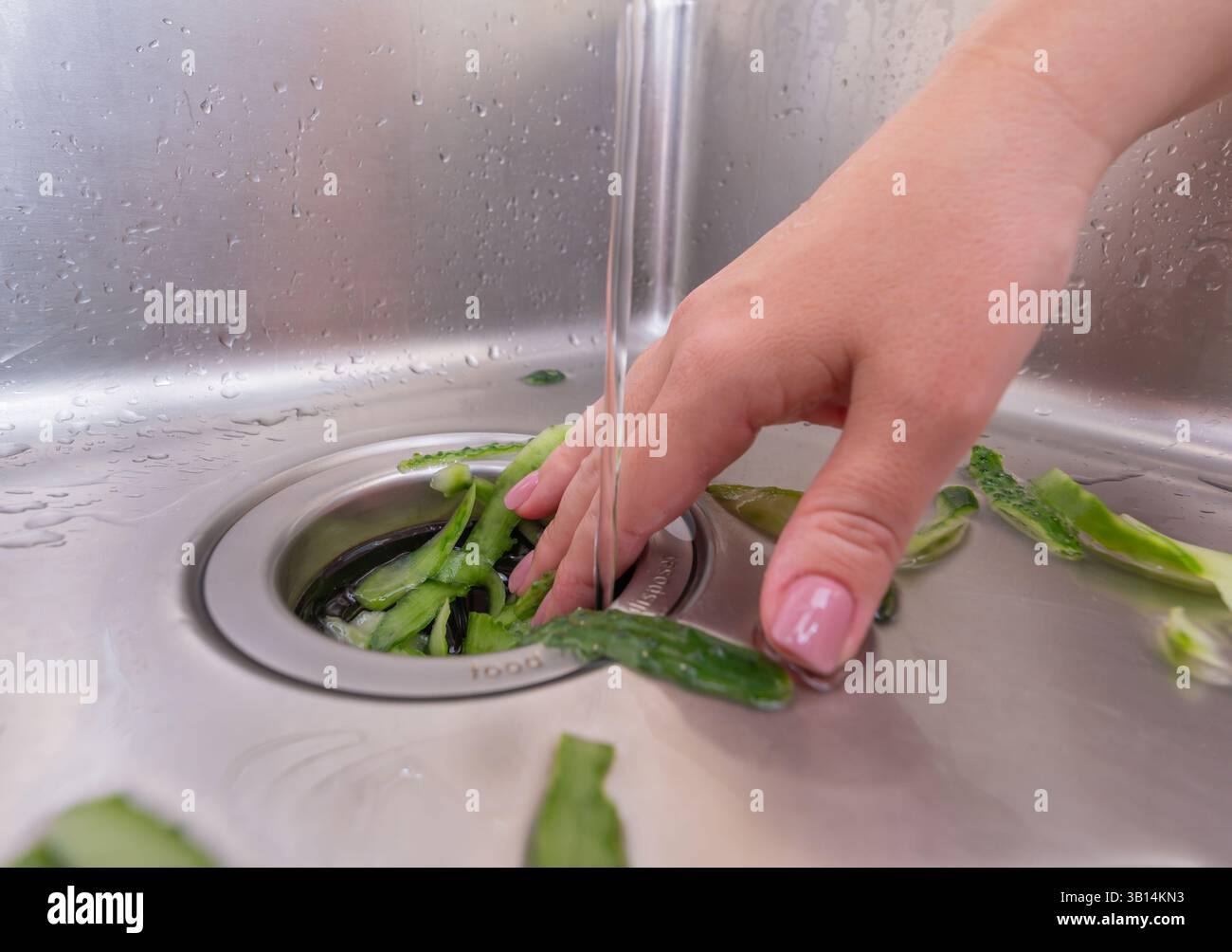 Recycling food scraps: fresh vegetable peels entering a garbage ...