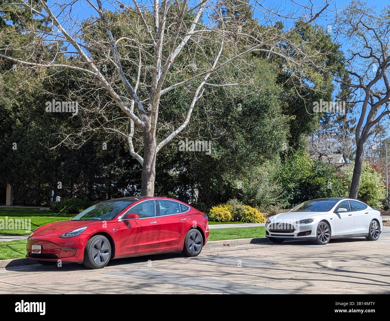 Tesla Model S (White) and Model 3 (Red) in Palo Alto, California Stock ...