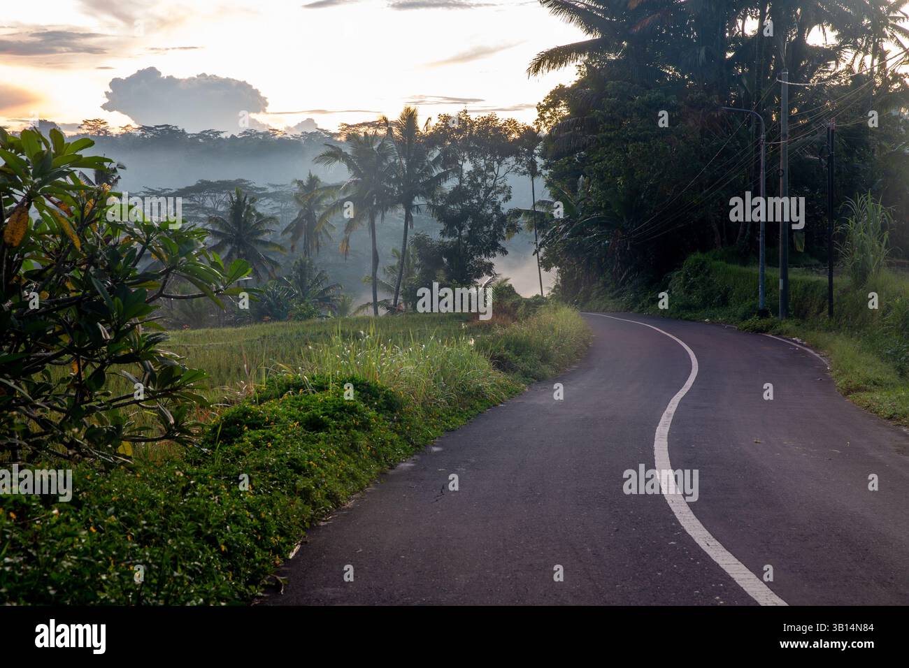 Road through the Indonesian Countryside in the morning Stock Photo - Alamy