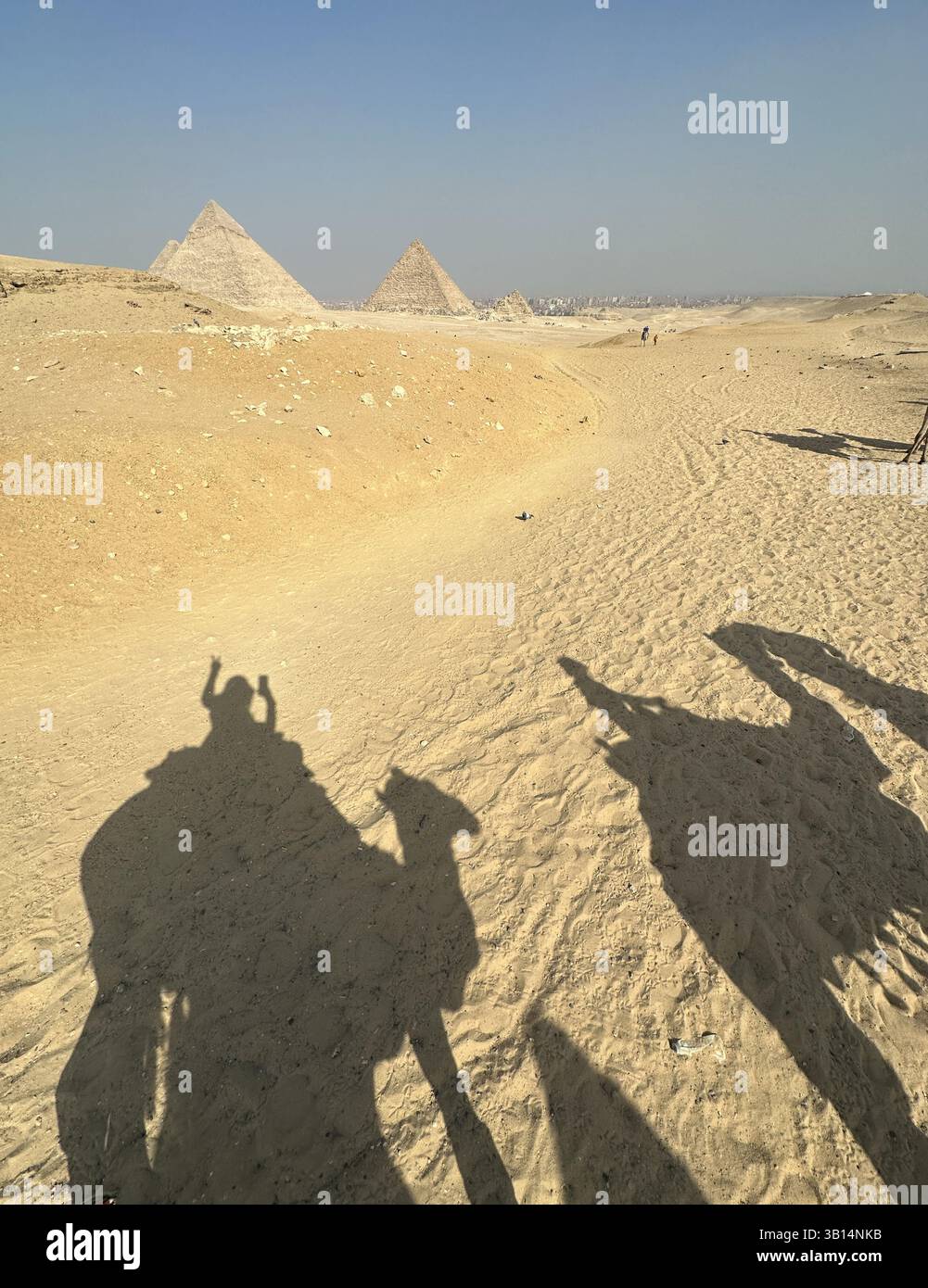 Shadow cast on the sand of camel riding near the Giza Pyramids, Egypt ...