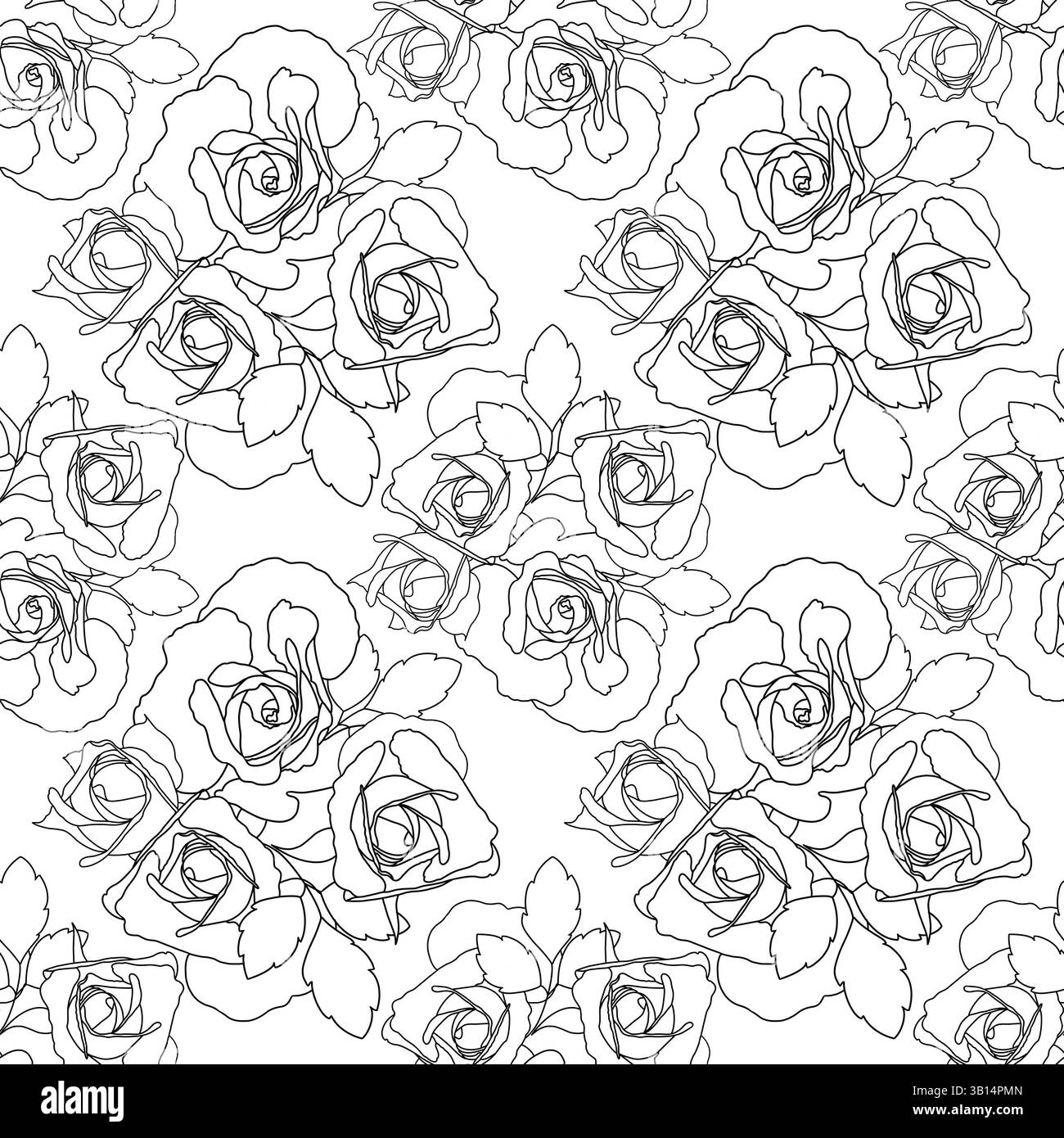 Seamless pattern with line drawing roses Stock Photo - Alamy
