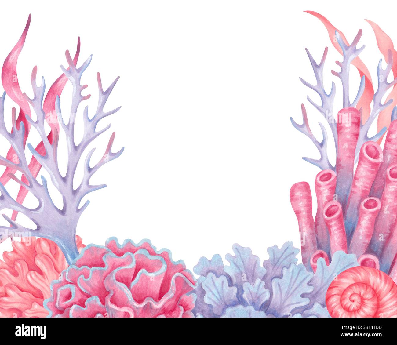 Frame with corals, seaweed and shell. Watercolor illustration ...