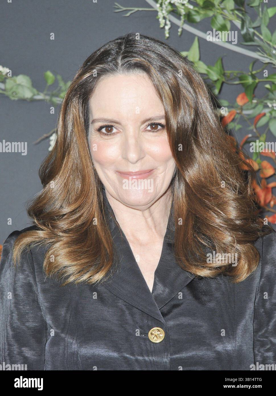 Ca. 24th Apr, 2025. Tina Fey at arrivals for THE FOUR SEASONS Premiere ...