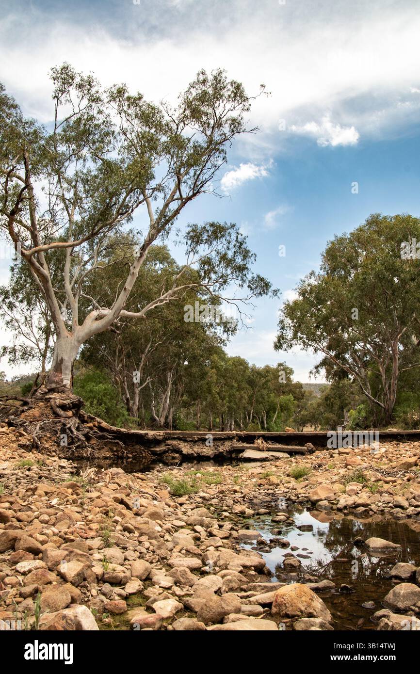 dried creek bed at Koorawatha Stock Photo - Alamy