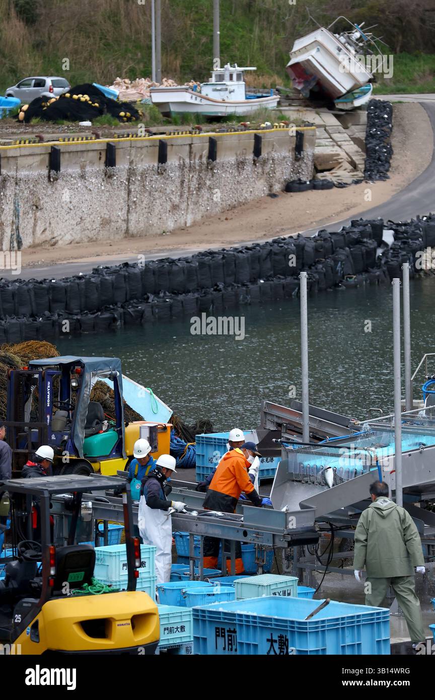 Fishers unload fish at Kaiso Fishing Port in Wajima City, Ishikawa ...