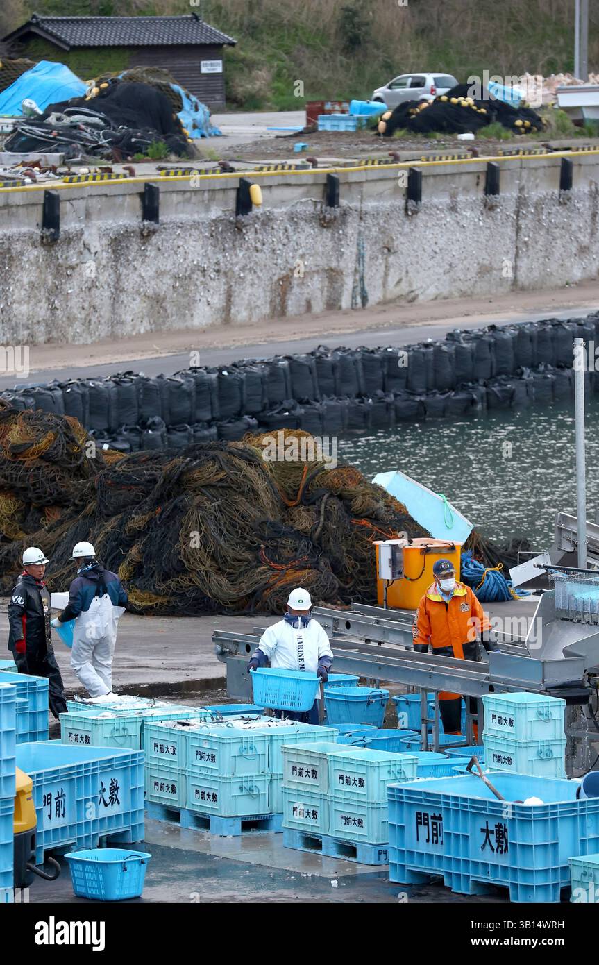 Fishers unload fish at Kaiso Fishing Port in Wajima City, Ishikawa ...