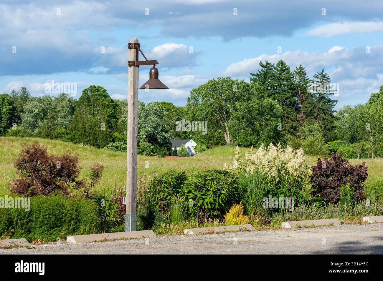 Rustic outdoor lamp on a wooden post beside parking and gardens at the ...