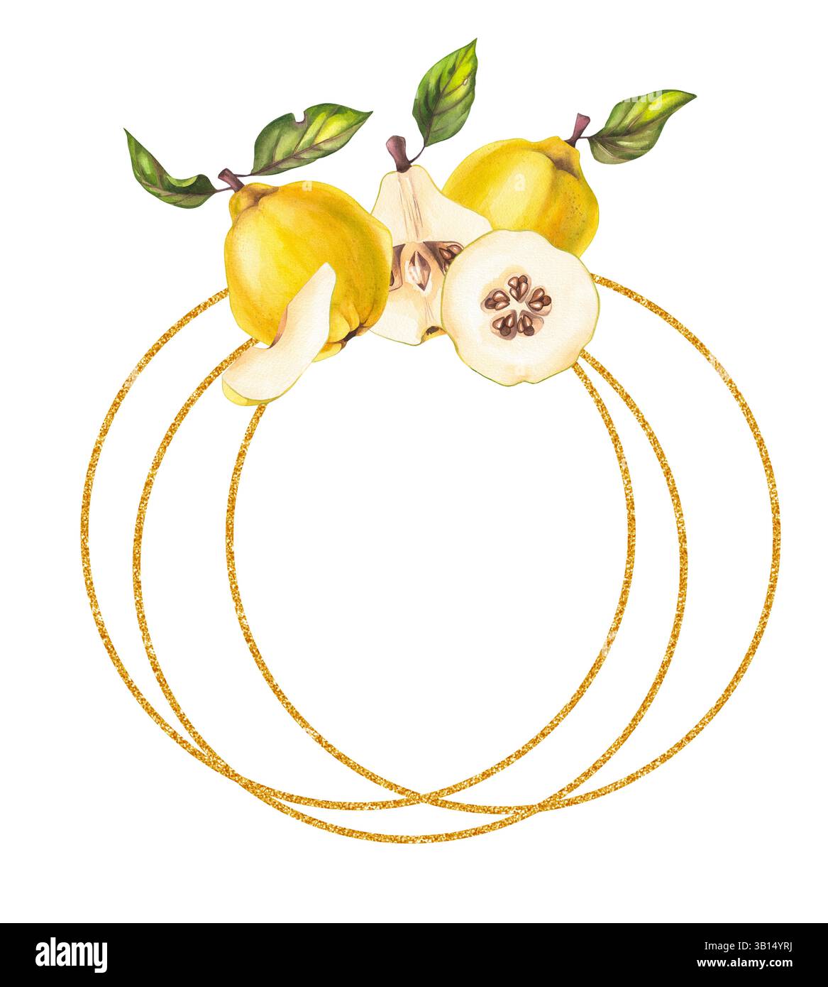 Quince fruit painted with watercolor illustration isolated on white ...