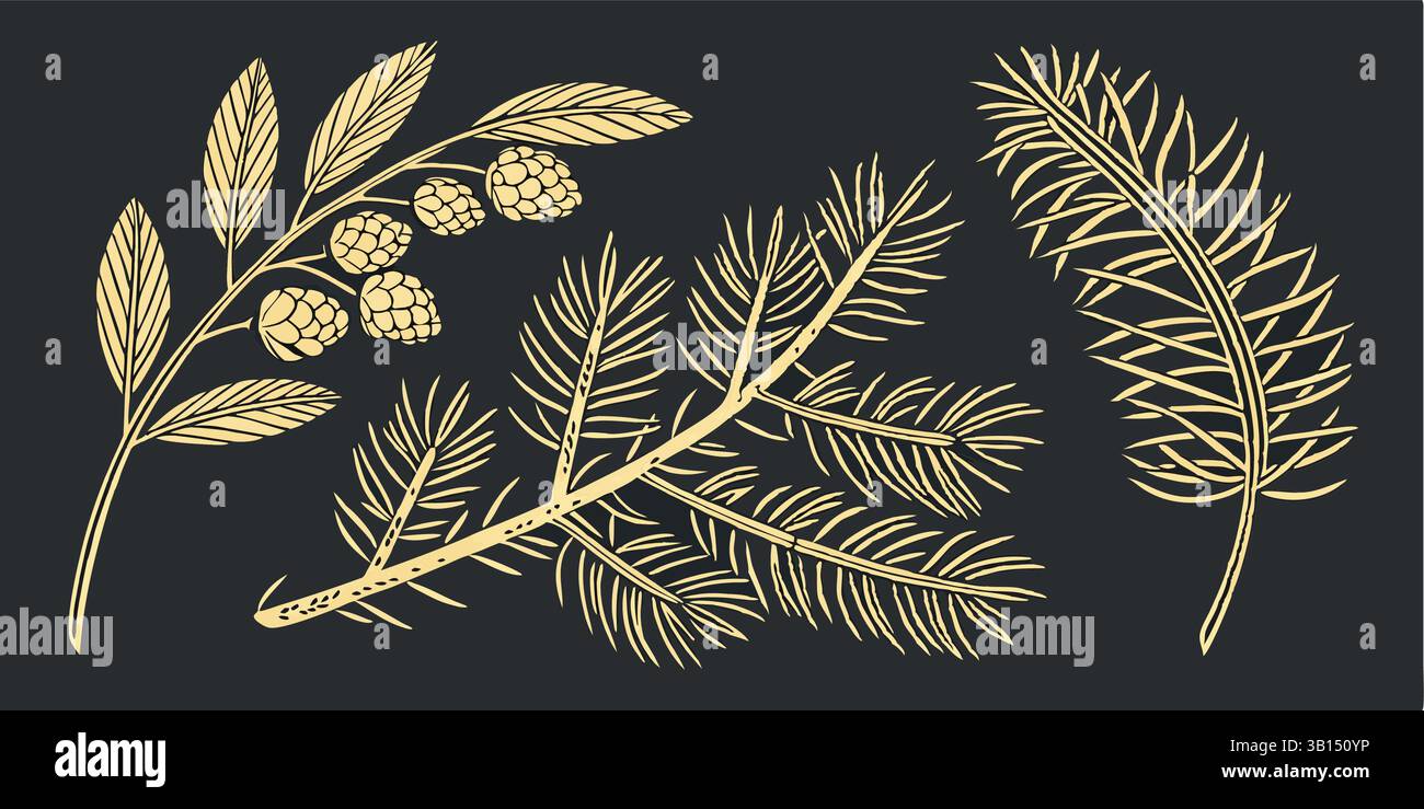 Illustration of three golden branches with leaves and berries on a dark ...