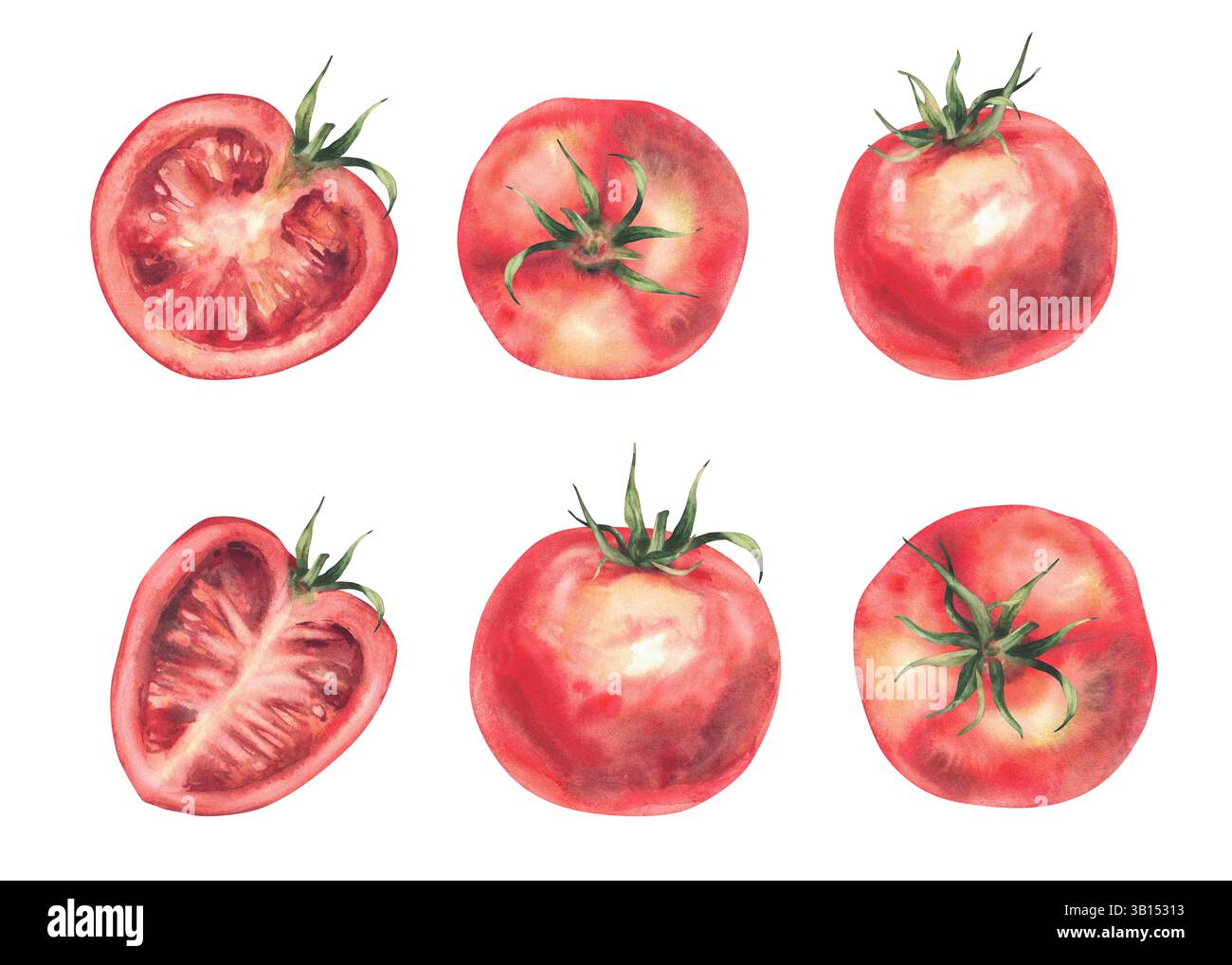Red tomatoes vegetables watercolor set. Illustration isolated on white.Whole and half sliced ...