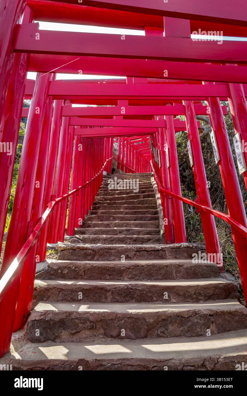 The Torii gates of the famous Motonosumi shrine in Yamahuchi Japan ...