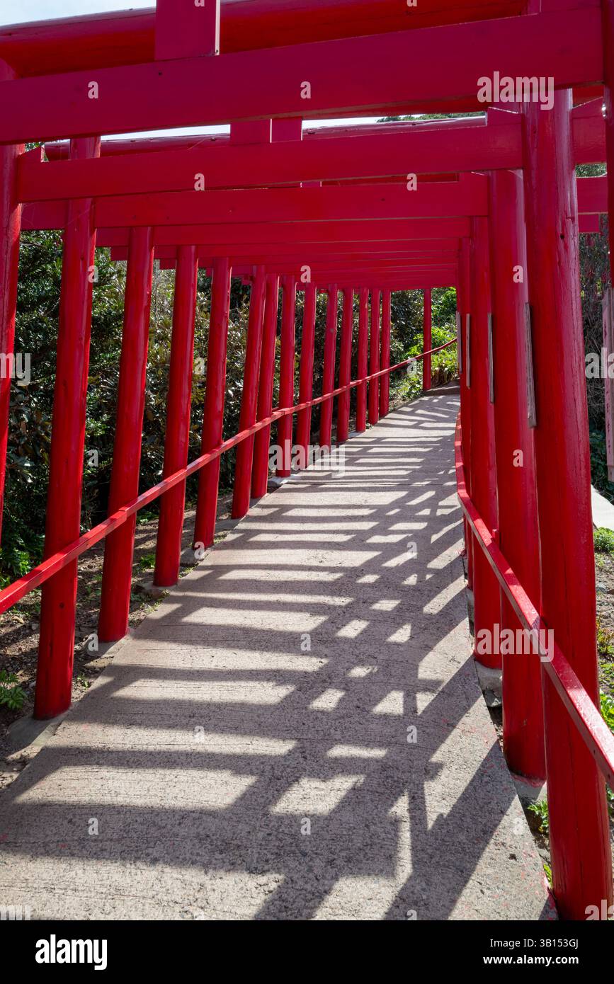 The Torii gates of the famous Motonosumi shrine in Yamahuchi Japan ...