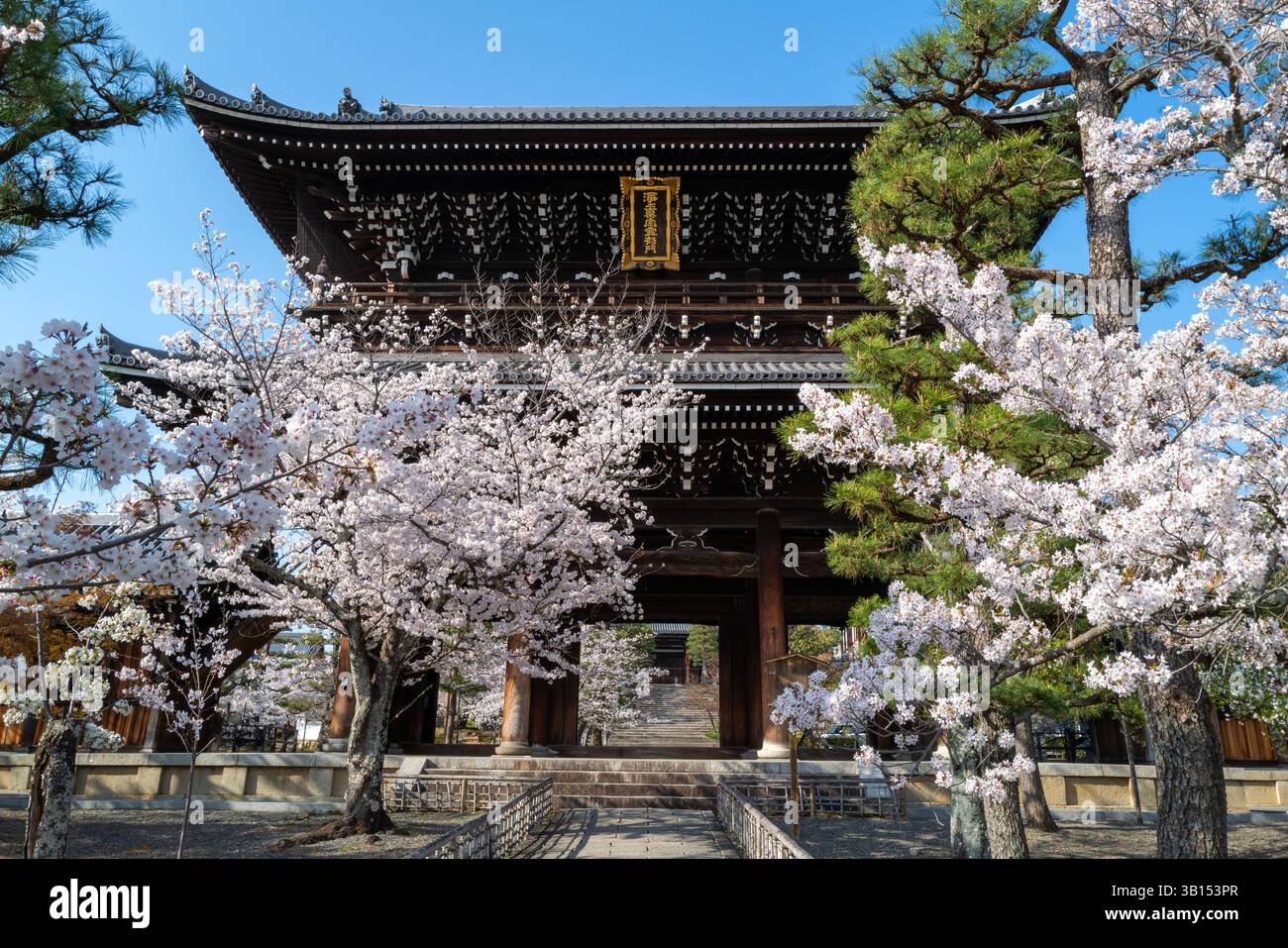 Konkai komyo-ji temple during the sakura season in Kyoto Japan Stock ...