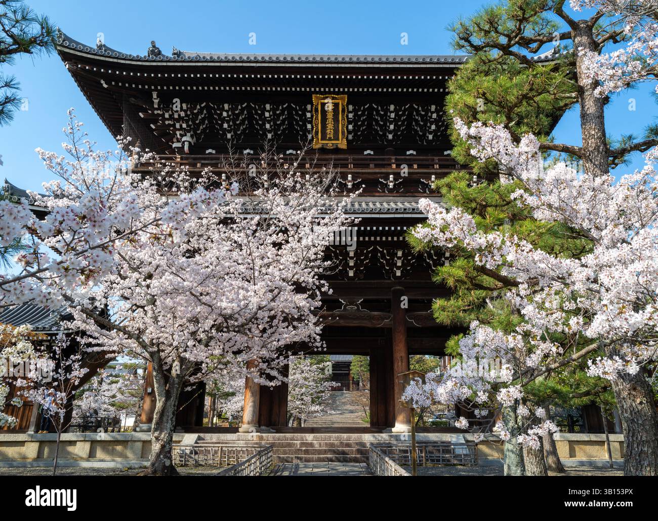 Konkai komyo-ji temple during the sakura season in Kyoto Japan Stock Photo - Alamy