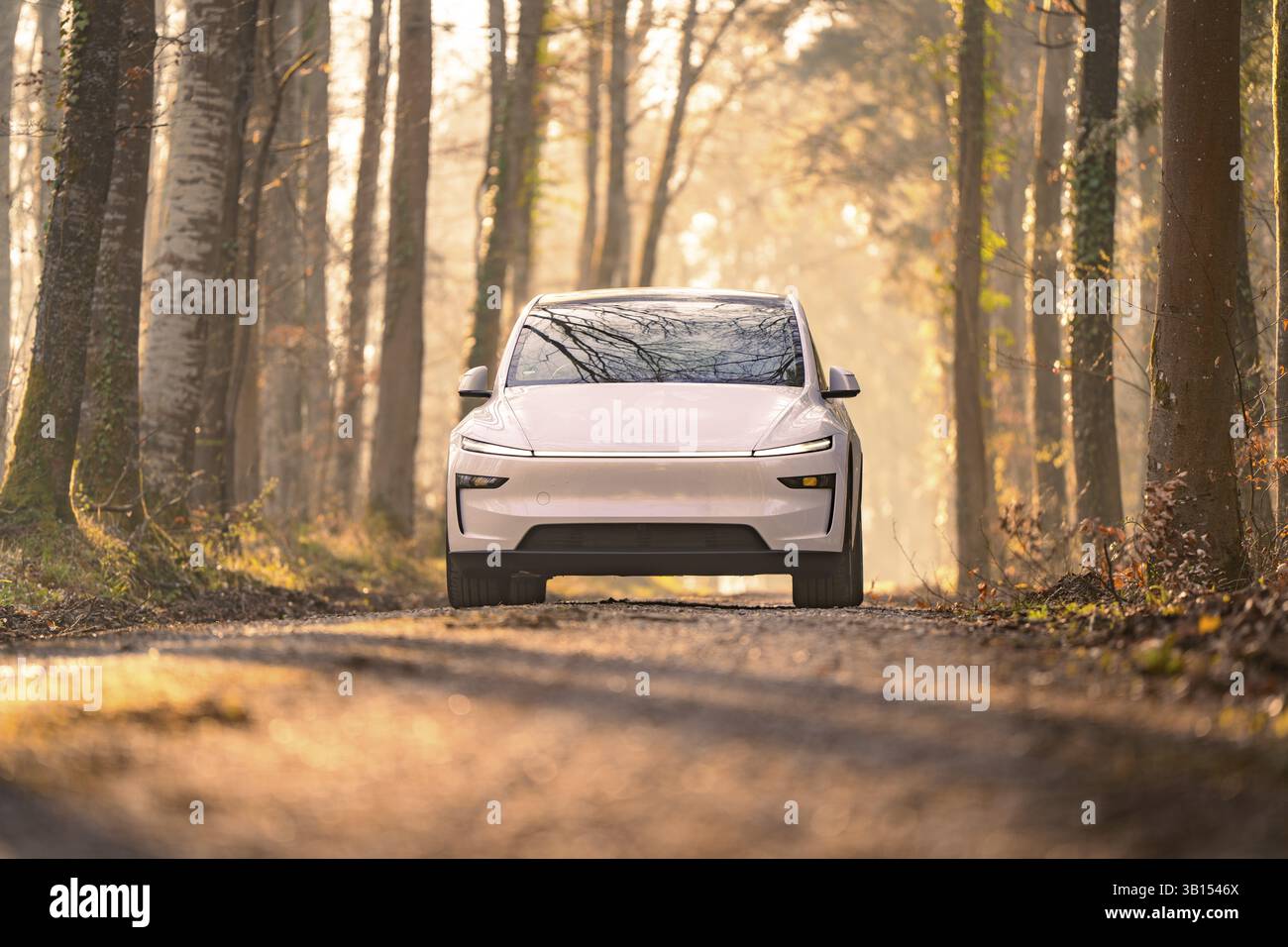 White electric car driving on a tree-lined forest path in soft sunlight ...