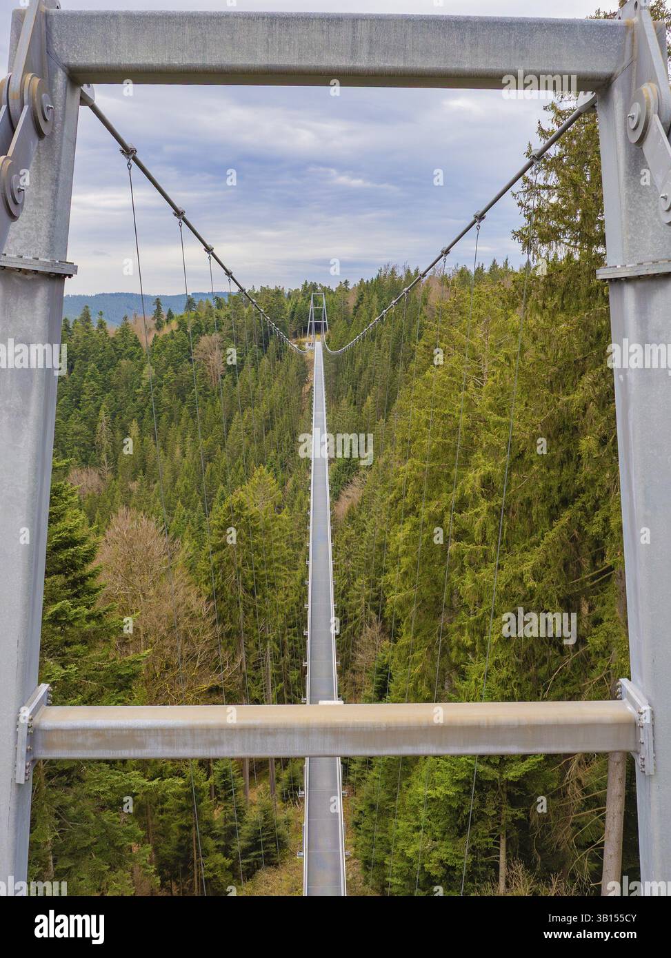 Steel suspension bridge over a dense coniferous forest under a cloudy ...