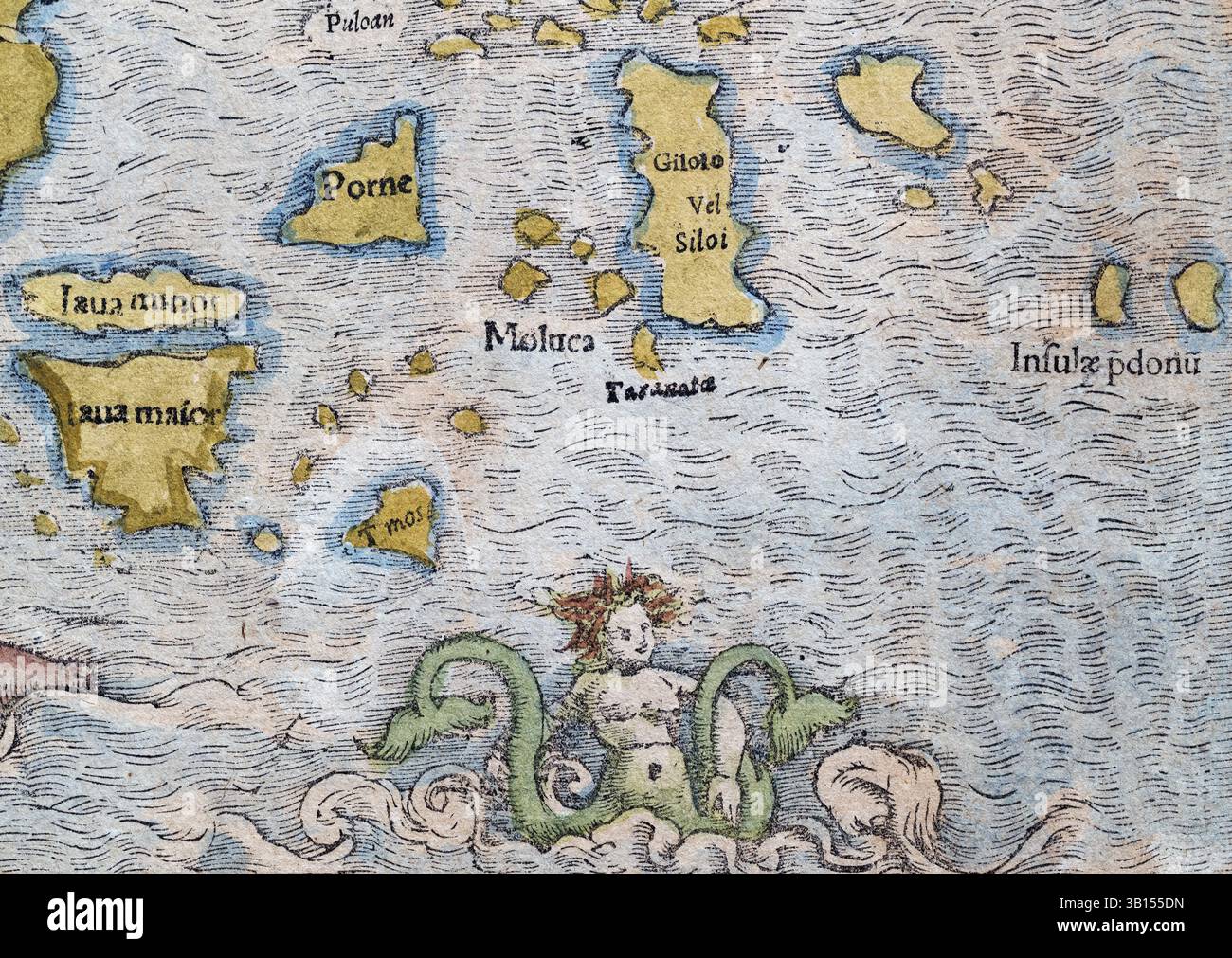 Indonesia, mermaid, detail, hand-coloured woodcut map from Sebastian ...