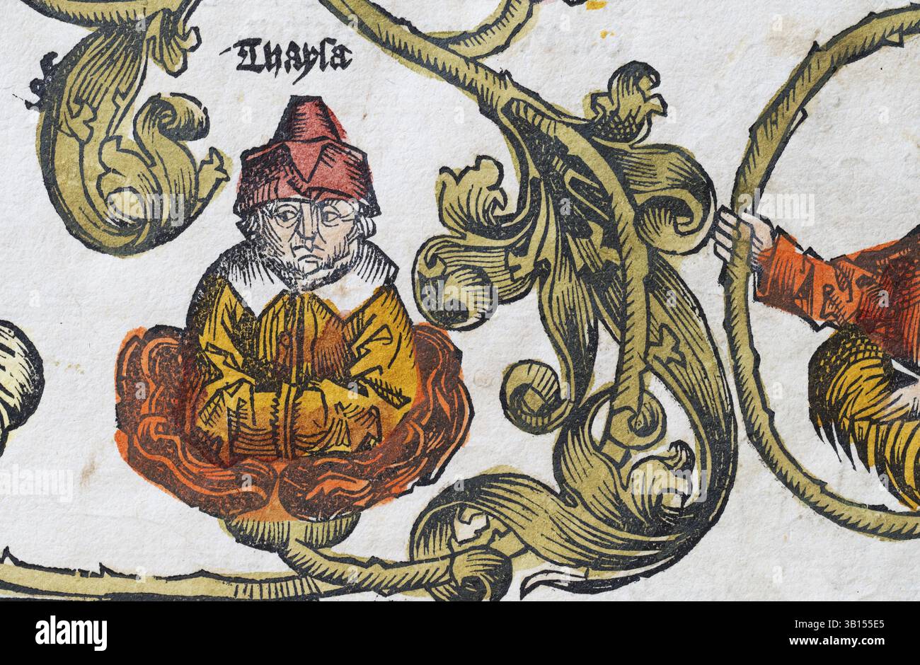 Detail family tree, old coloured woodcut from: Schedel'sche Weltchronik ...