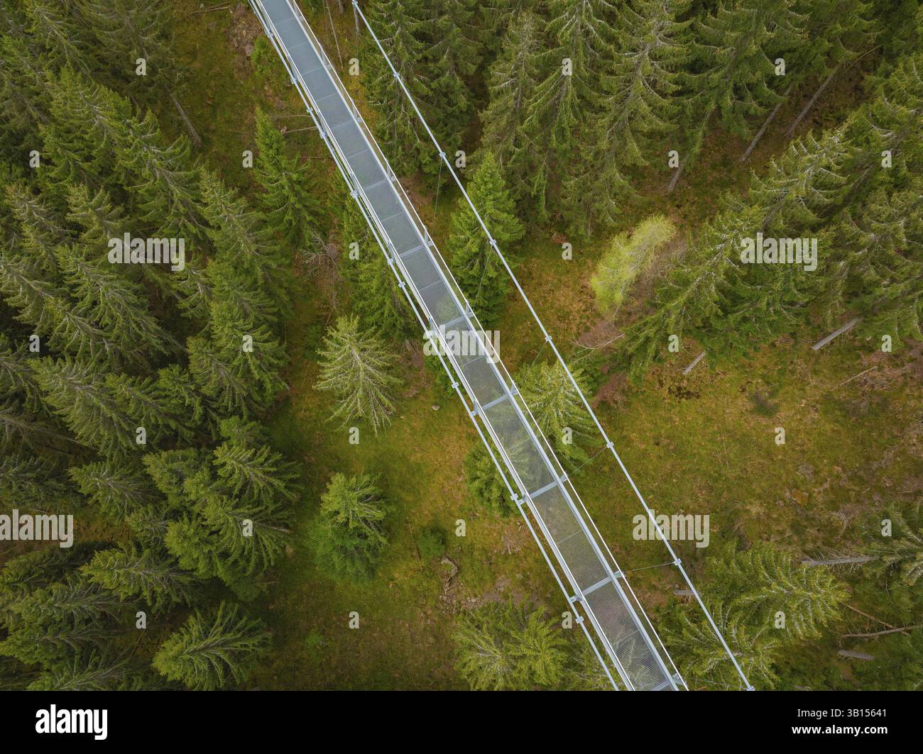 Aerial view of a straight bridge running through a densely wooded ...