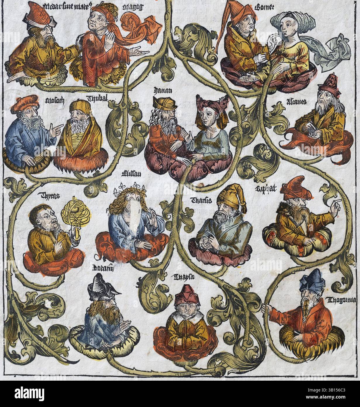 Family tree, old coloured woodcut from: Schedel'sche Weltchronik also ...
